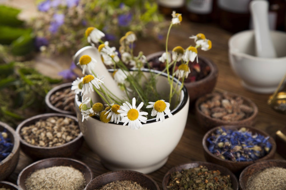 How to Make a Money Drawing Powder – Art Of The Root