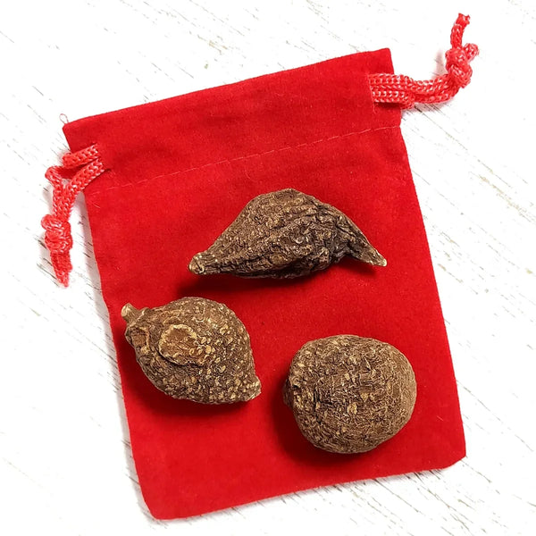 1 oz High John the Conqueror Root in a Red Mojo Bag – Art Of The Root